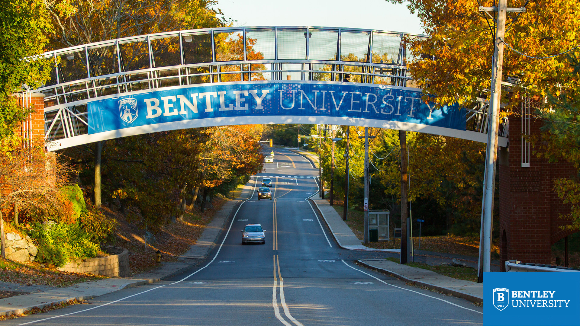 Conduct System | Student Affairs | Bentley University | Bentley University