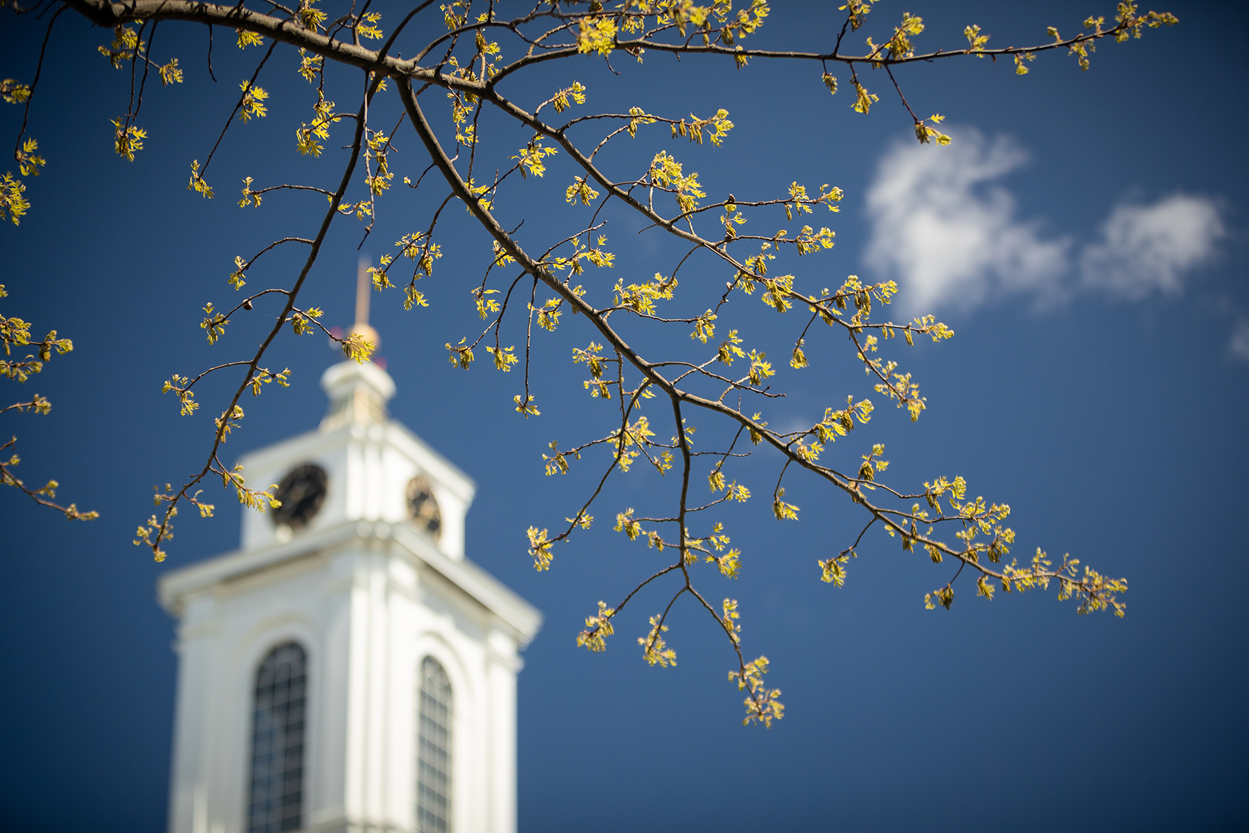 Library Home | Bentley University