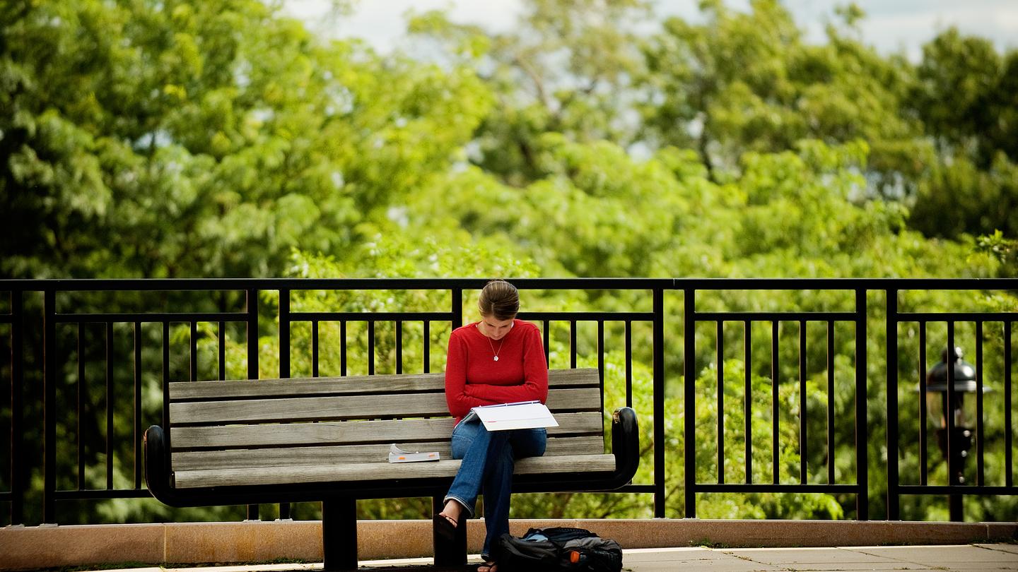 Curriculum Development and Redesign | Bentley University