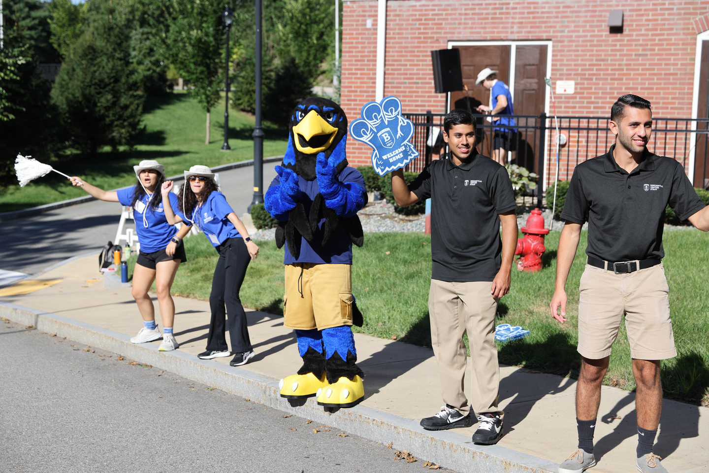 New Falcon Experience | Bentley University