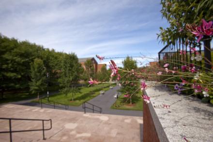 component library | Bentley University