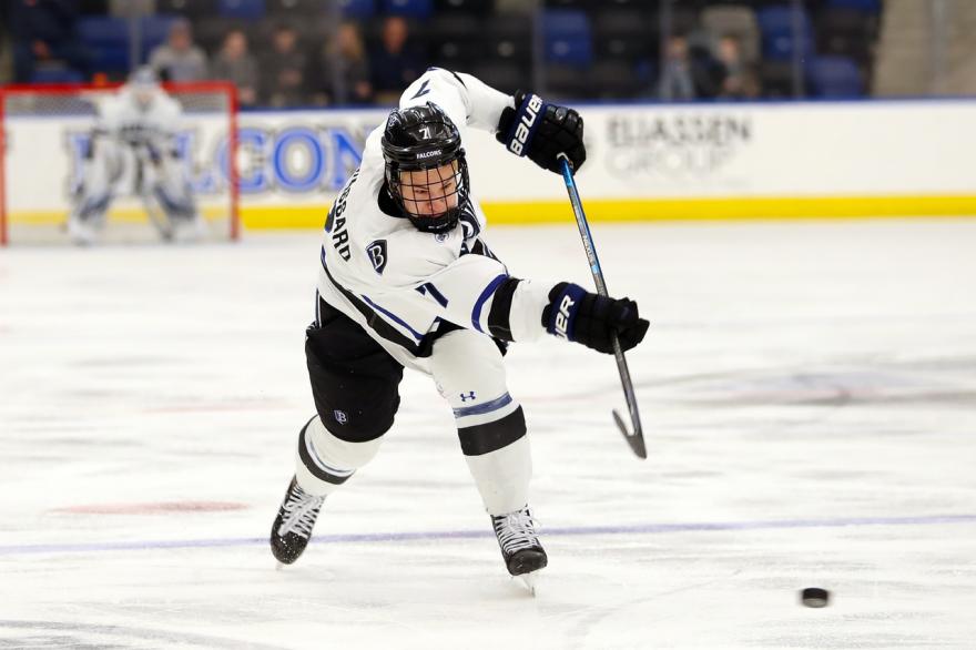 Bentley Arena | Bentley University