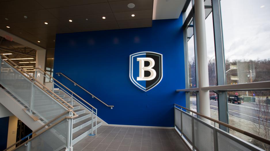 Athletics Strategic Plan | Bentley University