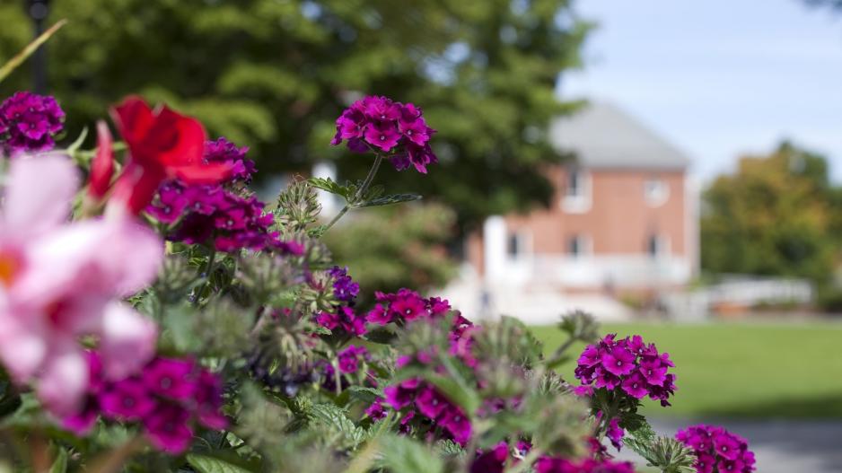 Celebrating Juneteenth | Bentley University
