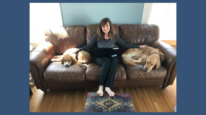 Bentley Buzz | Bentley University