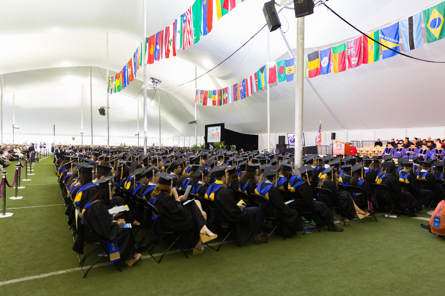 A Message from President Alison Davis-Blake