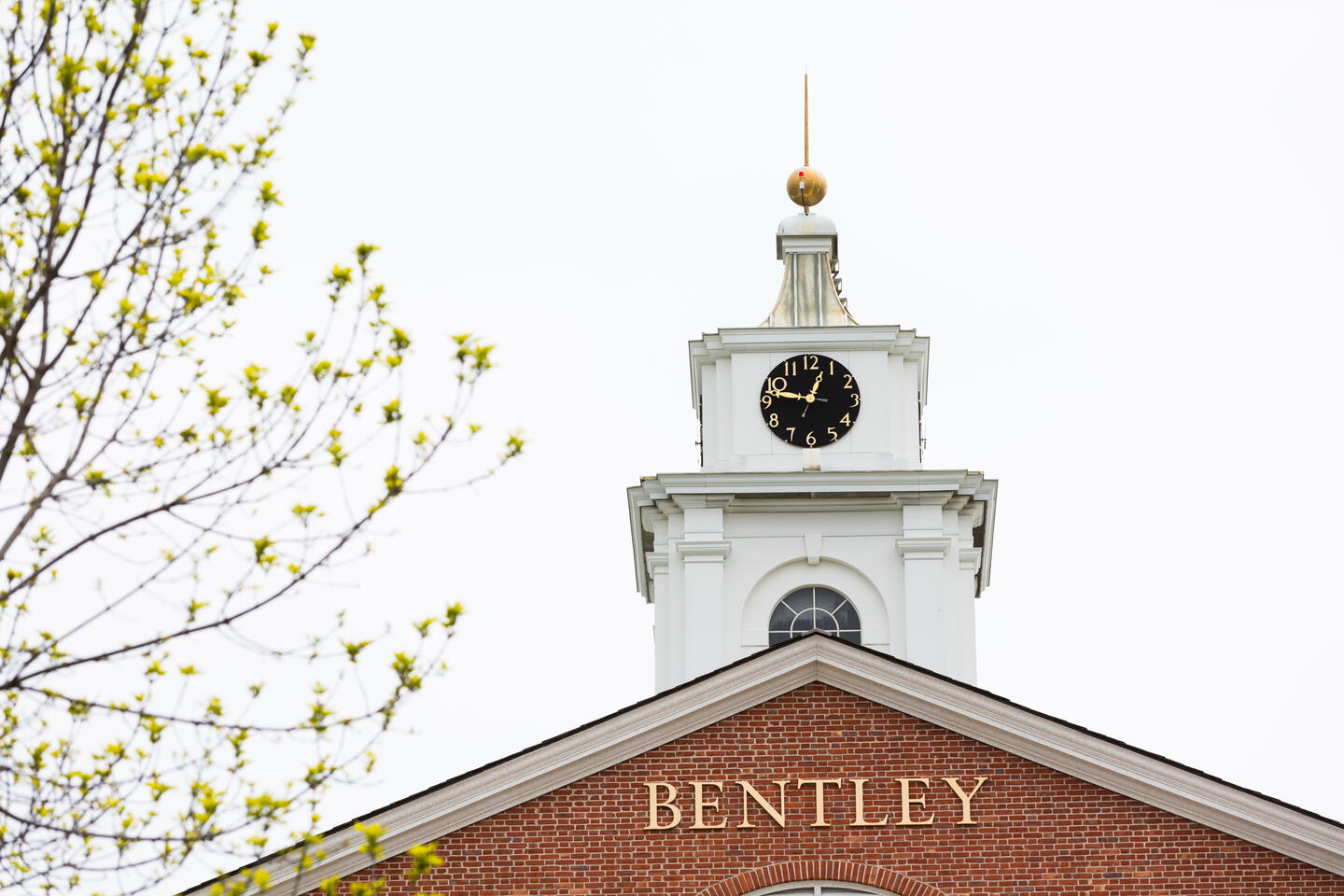 Entrepreneurship Hub Blog | Bentley University
