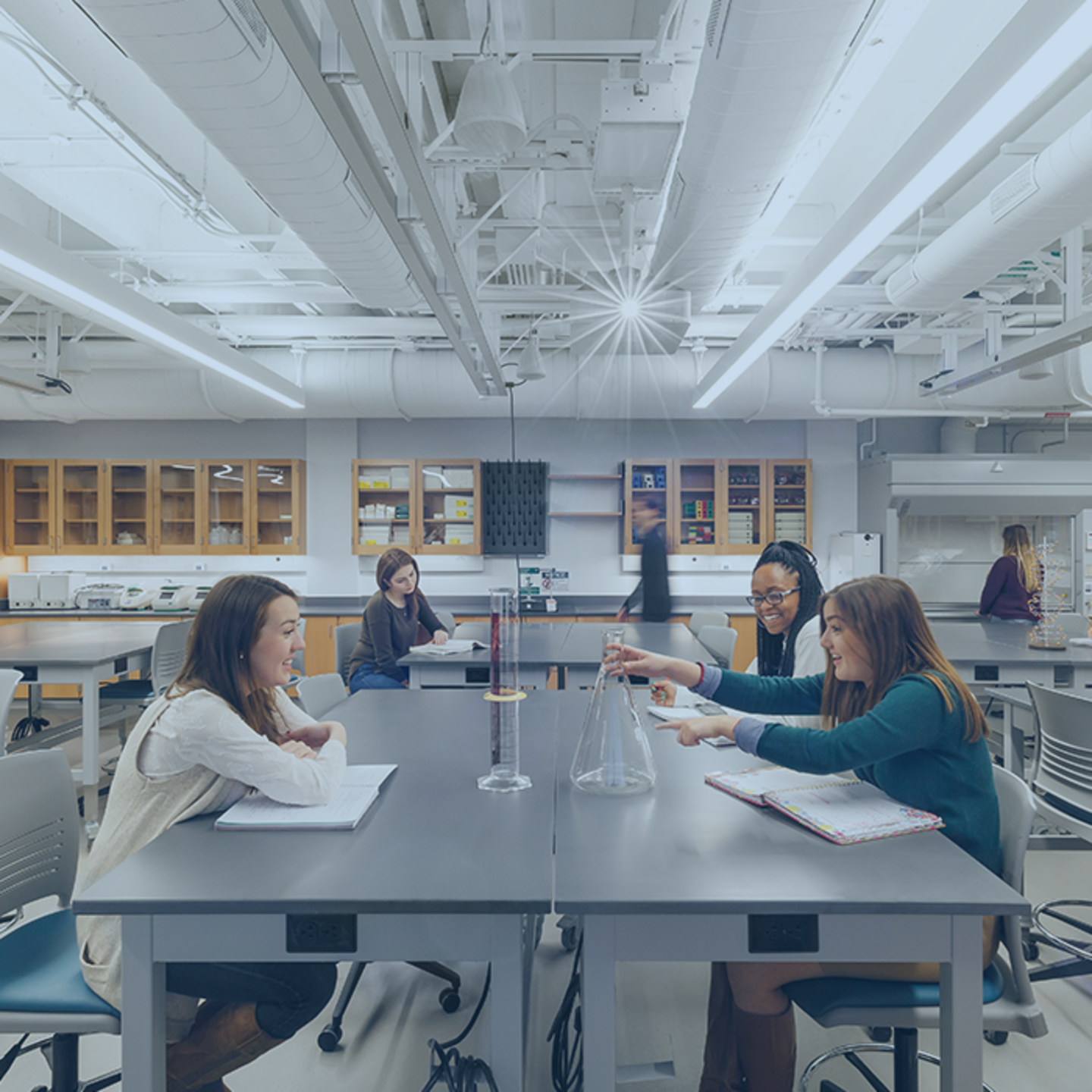 Sustainability | Bentley University